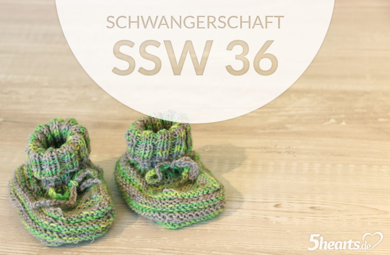Schwangerschaftsupdate - SSW 36 - purplemint.de